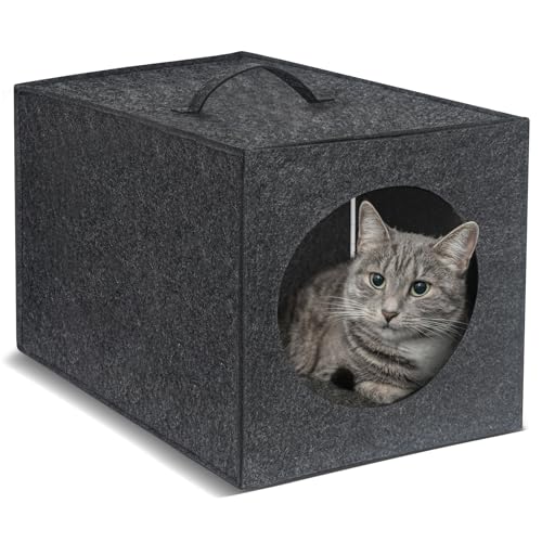Cat Cube – The 15 best products compared - Wild Explained