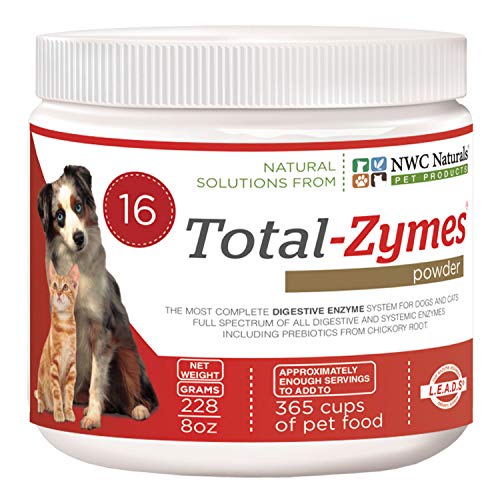 Top 10 Best Nutri Zyme Digestive Enzymes : Reviews & Buying Guide - Katynel