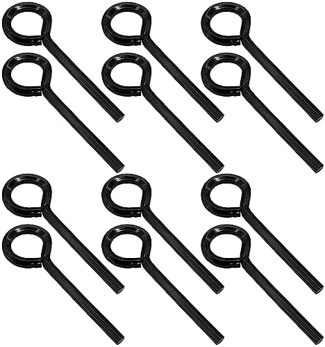 Hordion 12Pcs 1/8 Inch Hex Dogging Key Set with Full Loop, Heavy Duty ...