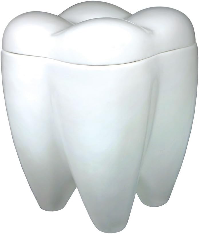 Amazon.com: Streamline Imagined Sweet Tooth Ceramic Cookie Jar: Tooth ...