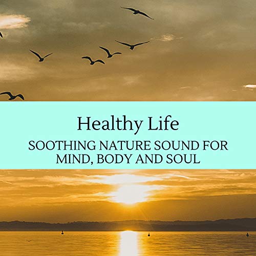 Amazon.com: Healthy Life - Soothing Nature Sound for Mind, Body and ...