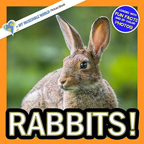 Rabbits!: A My Incredible World Picture Book for Children (My ...