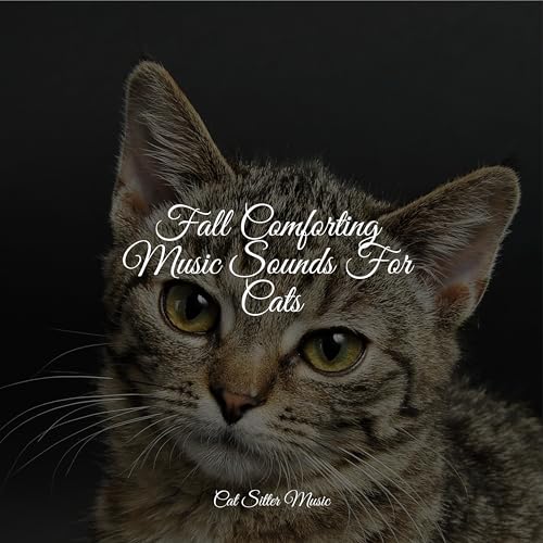 Amazon MusicでMusic for Relaxing Cats, Calm Music for Cats & Cat Music ...