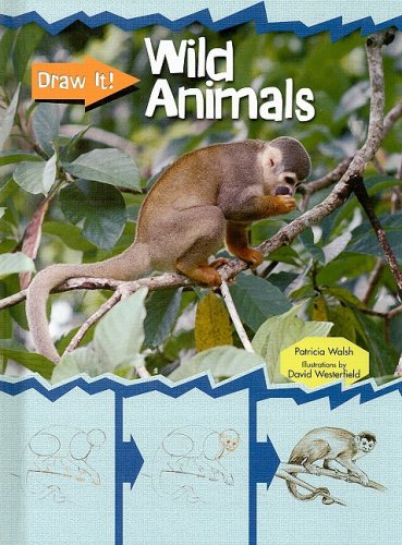 Wild Animals: Walsh, Patricia, Westerfield, David: 9781403489258: Books ...