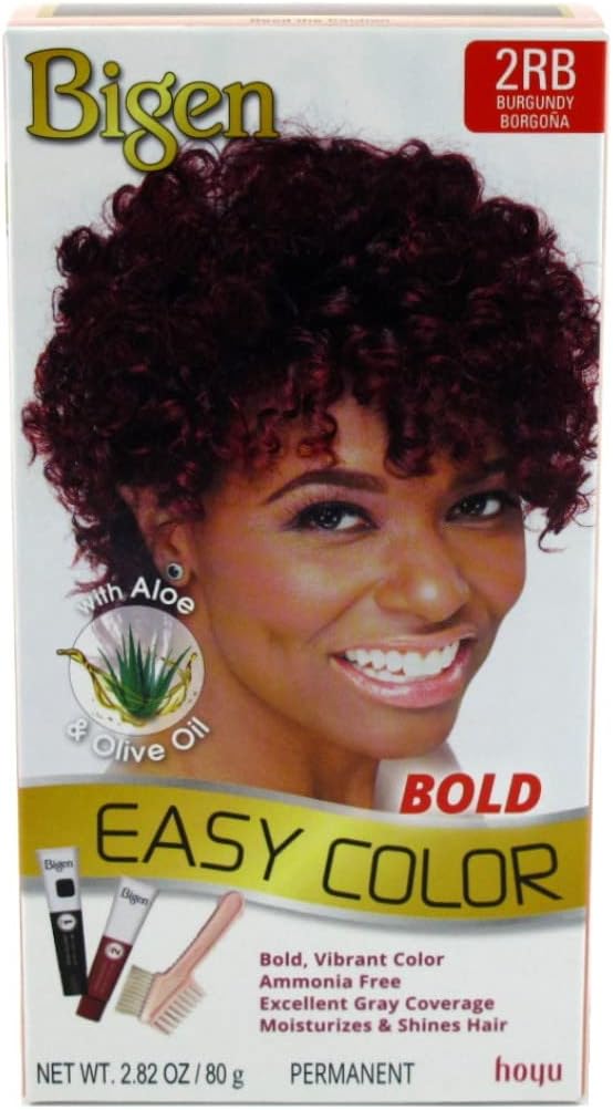 Amazon.com : Bigen Easy Color Permanent Hair Dye with Aloe & Olive Oil ...