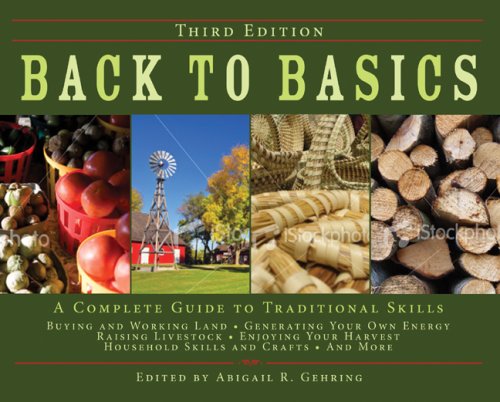 Back to Basics: How to Learn and Enjoy Traditional American Skills ...