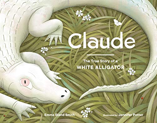 The 7 Best Books About Alligators Available Today - A-Z Animals