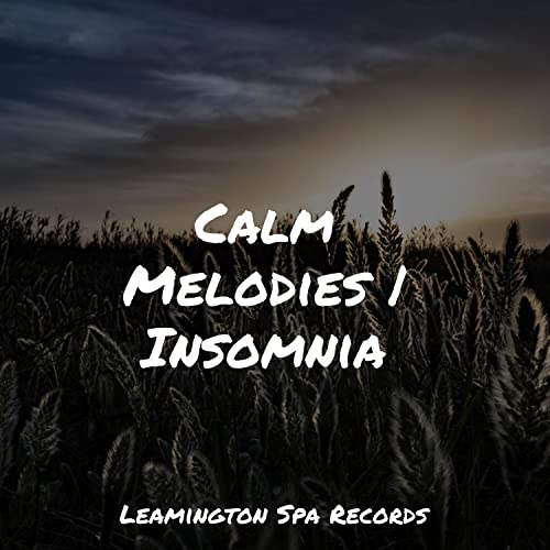 Calm Melodies | Insomnia von Sleep Meditation Dream Catcher, Ambient ...
