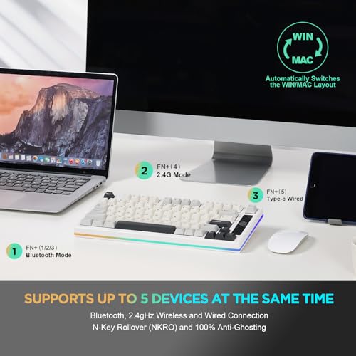 YUNZII YZ75 75% Hot Swappable Wireless Gaming Mechanical Keyboard, RGB ...