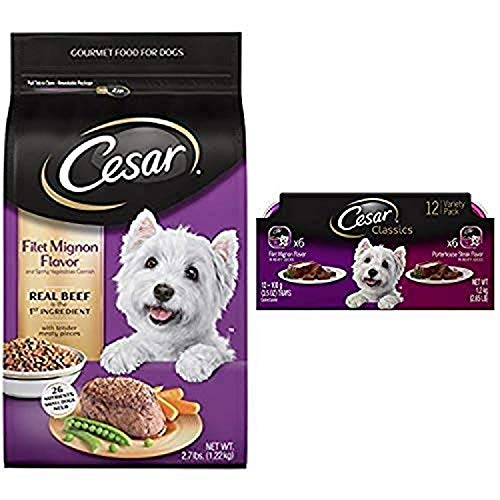 Feed your fur baby like royalty with these top 10 Cesar Filet Mignon ...