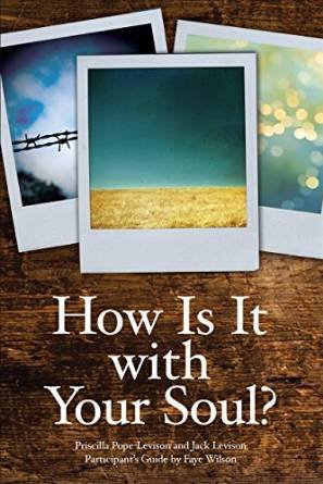 How Is It with Your Soul? - PriscillaPope-Levison, Jack Levison | 9781940182056 | Amazon.com.au ...