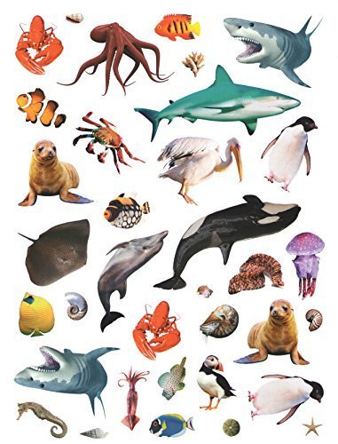 Printable Ocean Sticker Bundle Ocean Animal Stickers, 45% OFF