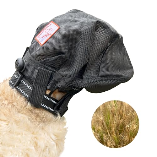 Foxtail Dogs – The 15 best products compared - Wild Explained