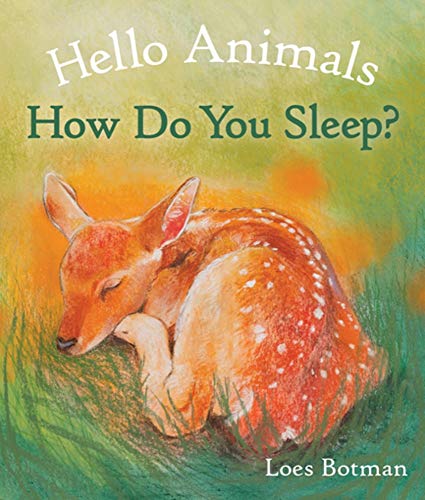 Hello Animals, How Do You Sleep?: Botman, Loes: 9781782505518: Amazon ...