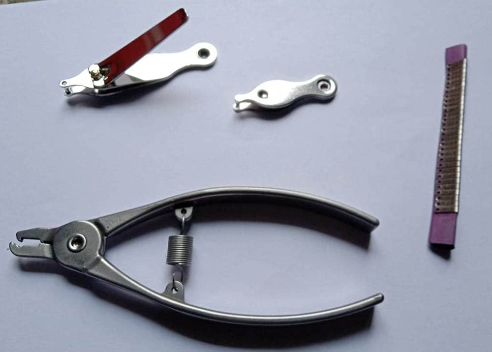 Mouse Ear Punch, Ear Punch, Ear tag & tag applicator (pls Check ...