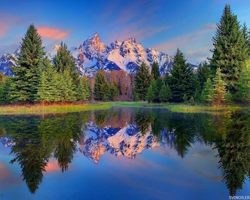 Amazon.com: SVINOILER Grand Teton National Park Wyoming USA Painting by ...