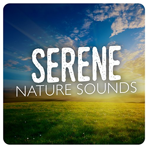 Play Serene Nature Sounds by Nature Sound Collection & Nature Sounds on ...