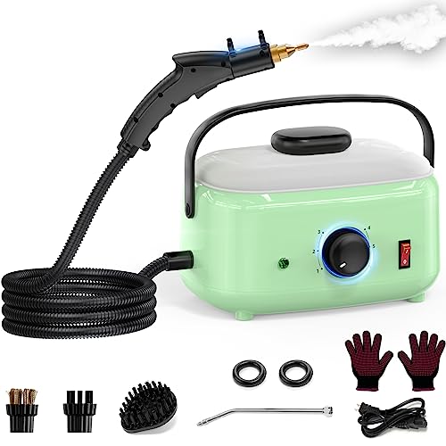 Top 10 Best Commercial Steamer For Cleaning : Reviews & Buying Guide ...
