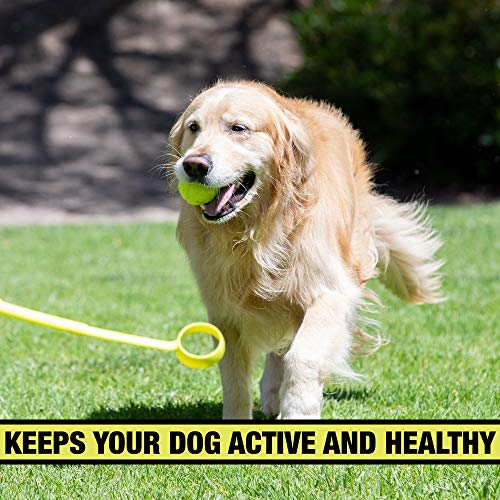 Portable Tennis Ball Launcher - Buy Online