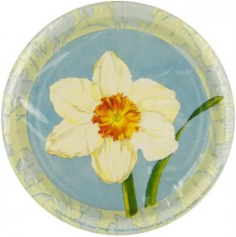 Amazon.com: Daffodil 7-inch Paper Plates 8 Per Pack : Health & Household