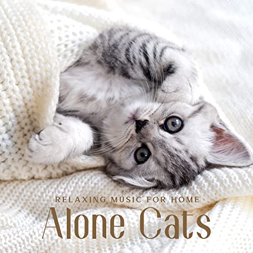Play Relaxing Music for Home Alone Cats by Cats Music Zone on Amazon Music