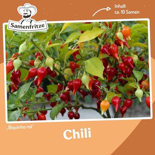 Chili Stecklinge – Die 15 besten Produkte im Vergleich & Angebote ...