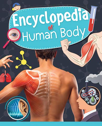 Amazon.in: Buy Encyclopedia of Human Body Alka Publications Book Online ...
