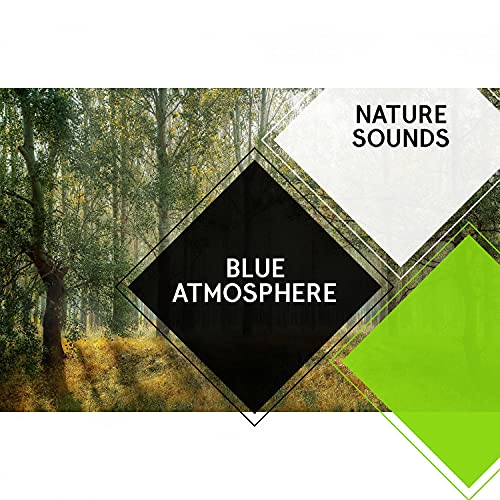 Blue Atmosphere - Nature Sounds : VARIOUS ARTISTS: Amazon.fr: Digital Music
