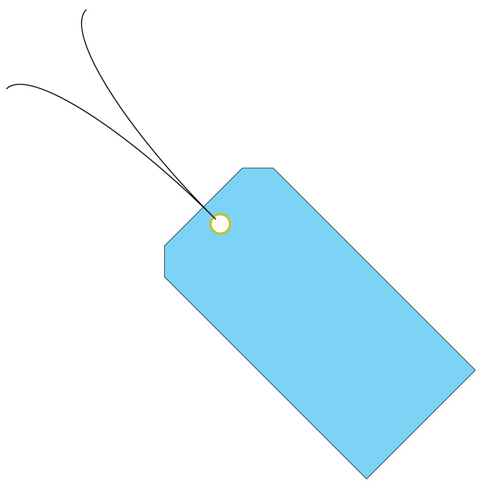 Amazon.com : Blank Heavy Duty 15 Mil Waterproof Plastic Tags with ...