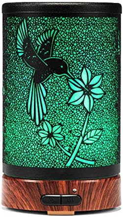 Amazon.com: RidgeCraft 100ml Cute Mushroom Diffuser, Essential Oil ...