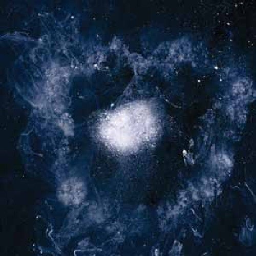 Swans, Michael Gira, Michael Gira, Siobhan Duffy Gira, Devendra Banhart ...