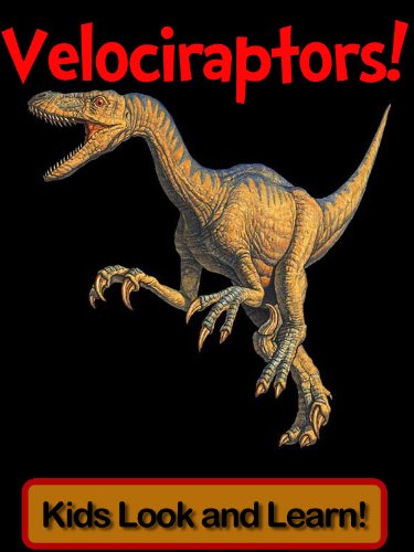 Velociraptors! Learn About Velociraptors and Enjoy Colorful Pictures ...