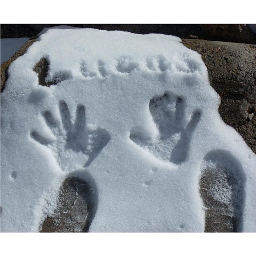 Amazon.com: Testify : Jeff Link: Digital Music