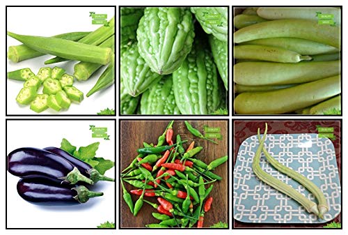 Creative Farmer Plants Seeds Combo Vegetable Seeds : Bhindi (Arka ...