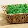 com-four® Mousse décorative 500 g - Mousse Artisanale DIY - Véritable ...