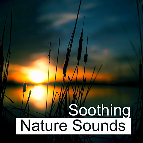 Soothing Nature Sounds – Easy Way to Relax, Rest with Nature Music ...