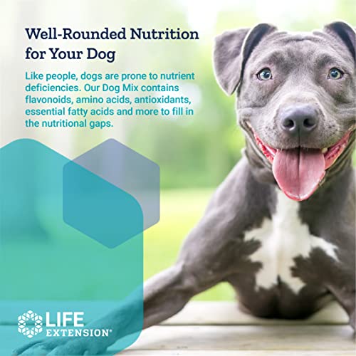 Life Extension Dog Mix - Daily Nutrition Care Supplement Powder for ...