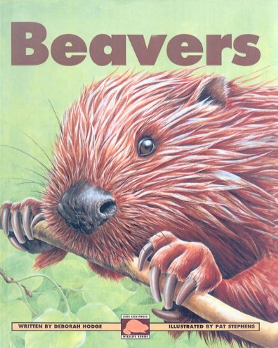 Beavers (Kids Can Press Wildlife (Pb)): Pat Stephens Deborah Hodge, Pat ...