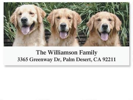 Amazon.com : Yorkie Personalized Return Address Labels- Set of 144 ...