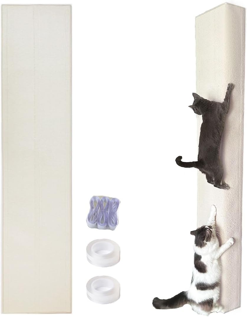 Amazon.com: Cat Wall Shelves Large Transparent Capsule with 2 PCS ...