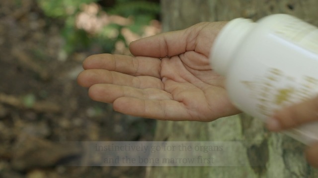 Snapklik.com : Ancestral Supplements Grass Fed Beef Gallbladder Supplements