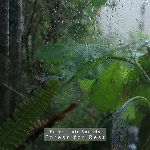 Play Forest Rain Sounds by Forest for Rest on Amazon Music Unlimited