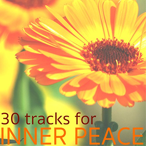 Amazon.com: 30 Tracks for Inner Peace - Deep Serenity Subliminal Sounds ...
