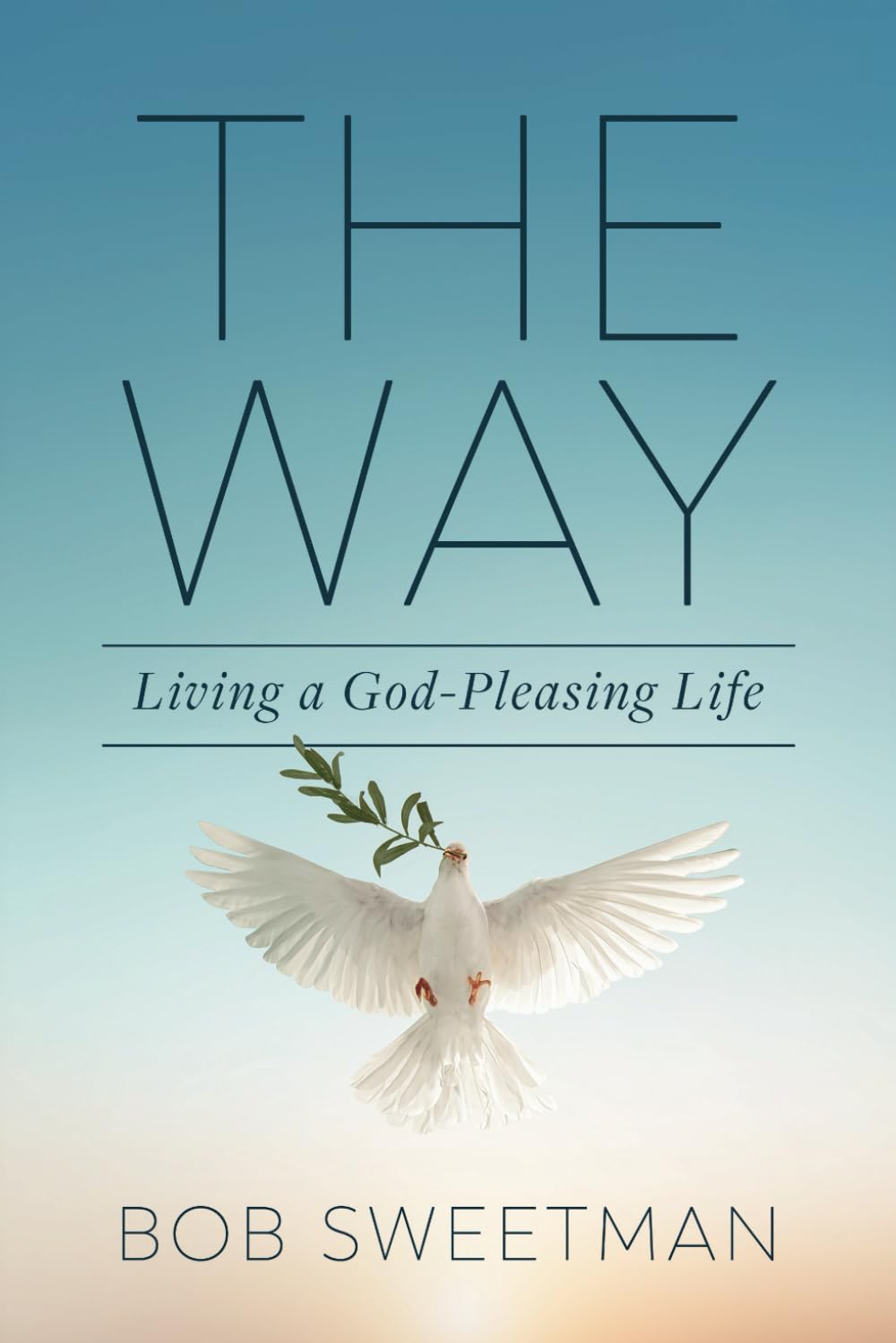 The Way: Living a God-Pleasing Life: Sweetman, Bob: 9798893166590 ...