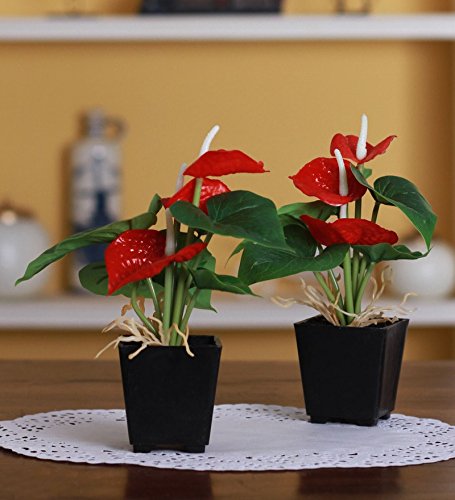 Buy Fourwalls Artificial Anthurium Plant in Melamine Vase (15 cm, Red ...