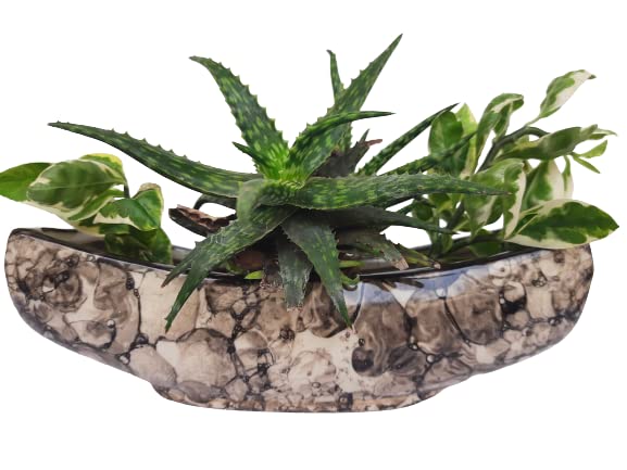 VISIONCRAFTERZ Boat Shaped Oval Ceramic Planter Pot (Plant NOT Included ...