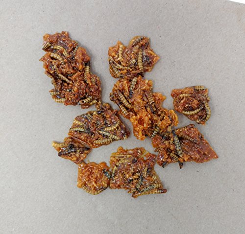 Don Bugito Planet-Friendly Edible Insect Protein Snacks (Coconut Toffee ...