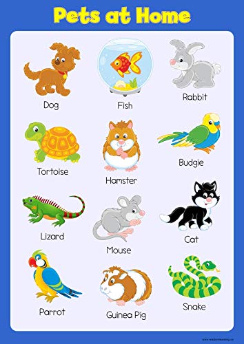 Pets at Home Poster Childrens Wall Chart Educational Childs Poster Art ...