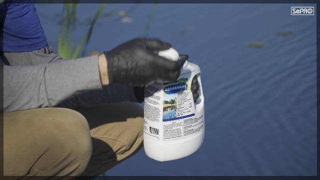 Watch Aquashade Plus Application Techniques on Amazon Live