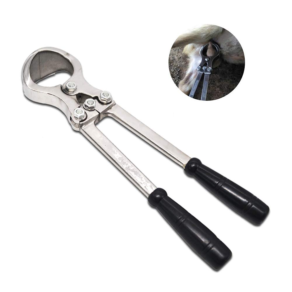 Buy Jnzr Castration Pliers, Cattle Sheep Castration Plier Stainless ...